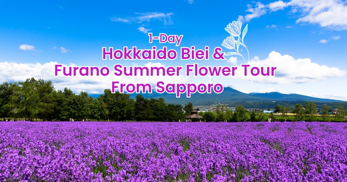 1-Day Hokkaido Biei & Furano Summer Flower Tour From Sapporo in July ...