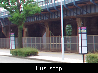 Nagoya Sasashima Live